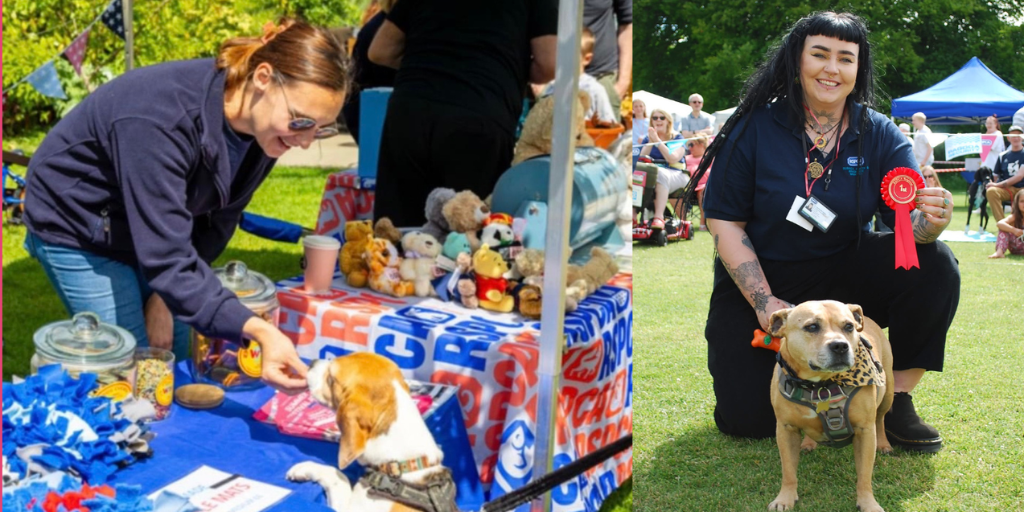 RSPCA Summer Fayre and Dog Show - Brighton & Hove Buses